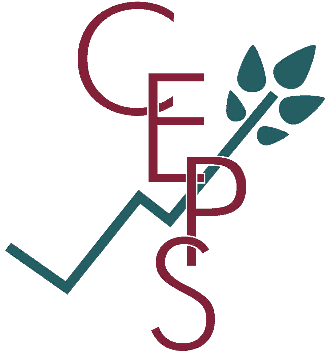 CepsSalud – Centro de Estudios sobre Promoción de la Salud